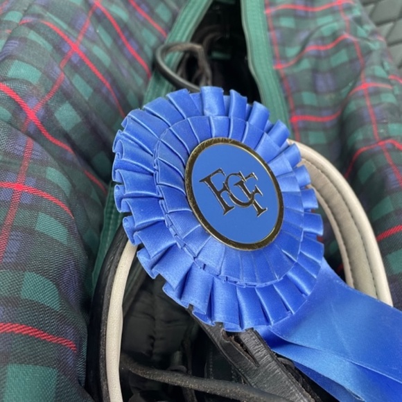 Vintage Equestrian | Accents | Blue Ribbon St Place Horse Show Satin ...